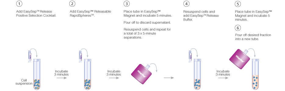 EasySep™ Release EasySep™ Release