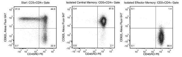 EasySep Human Central/Effector Memory CD4+ T Cell Kit | STEMCELL ... EasySep Human Central/Effector Memory CD4+ T Cell Kit | STEMCELL ...